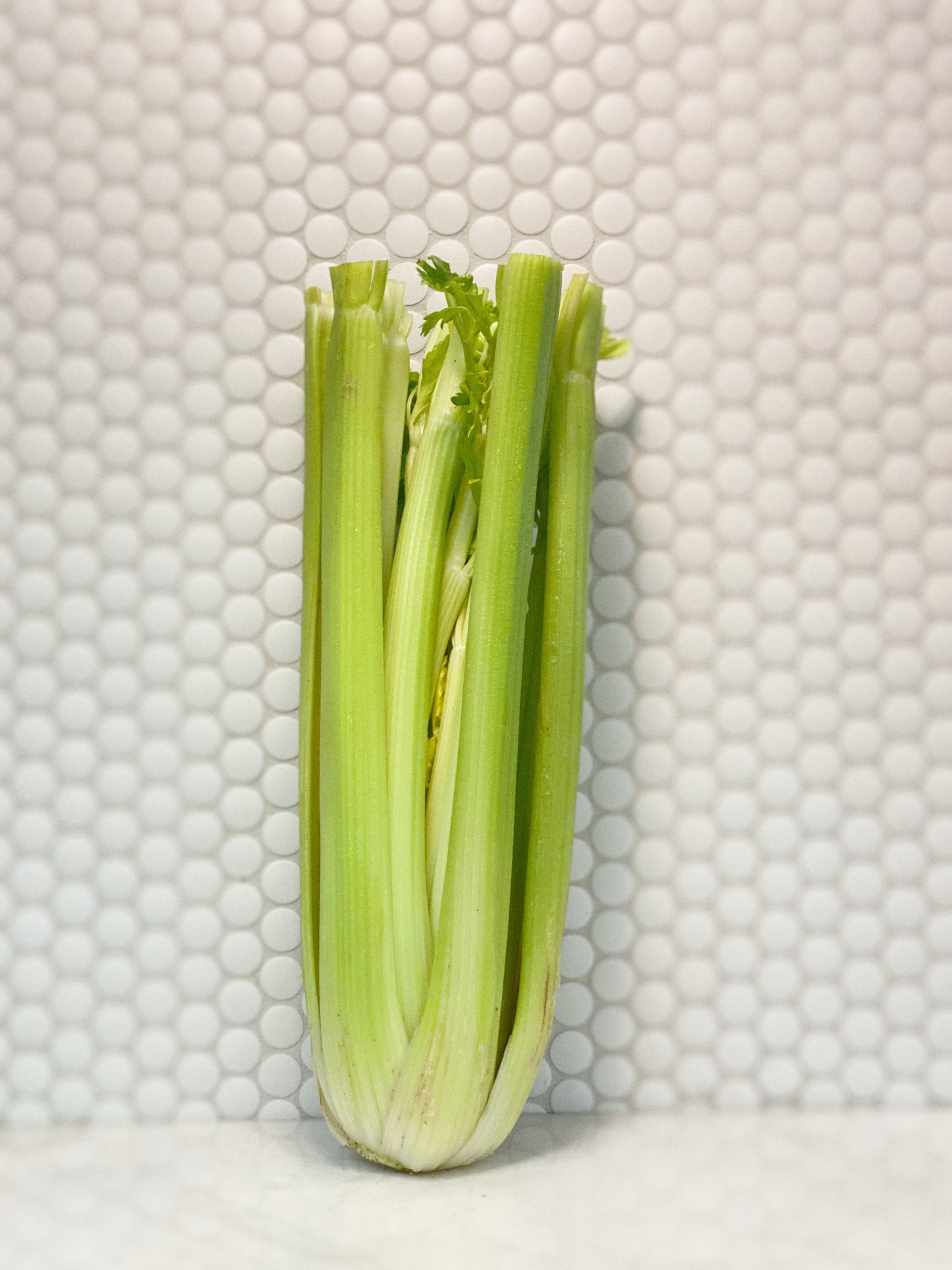 1 celery stick